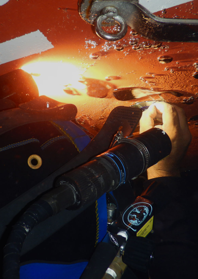 Seaweed Diving Services | Professional Underwater Maintenance Solutions ...